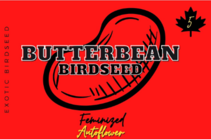 Butterbean - 5 For $160 CDN - Coastal Mary Seeds